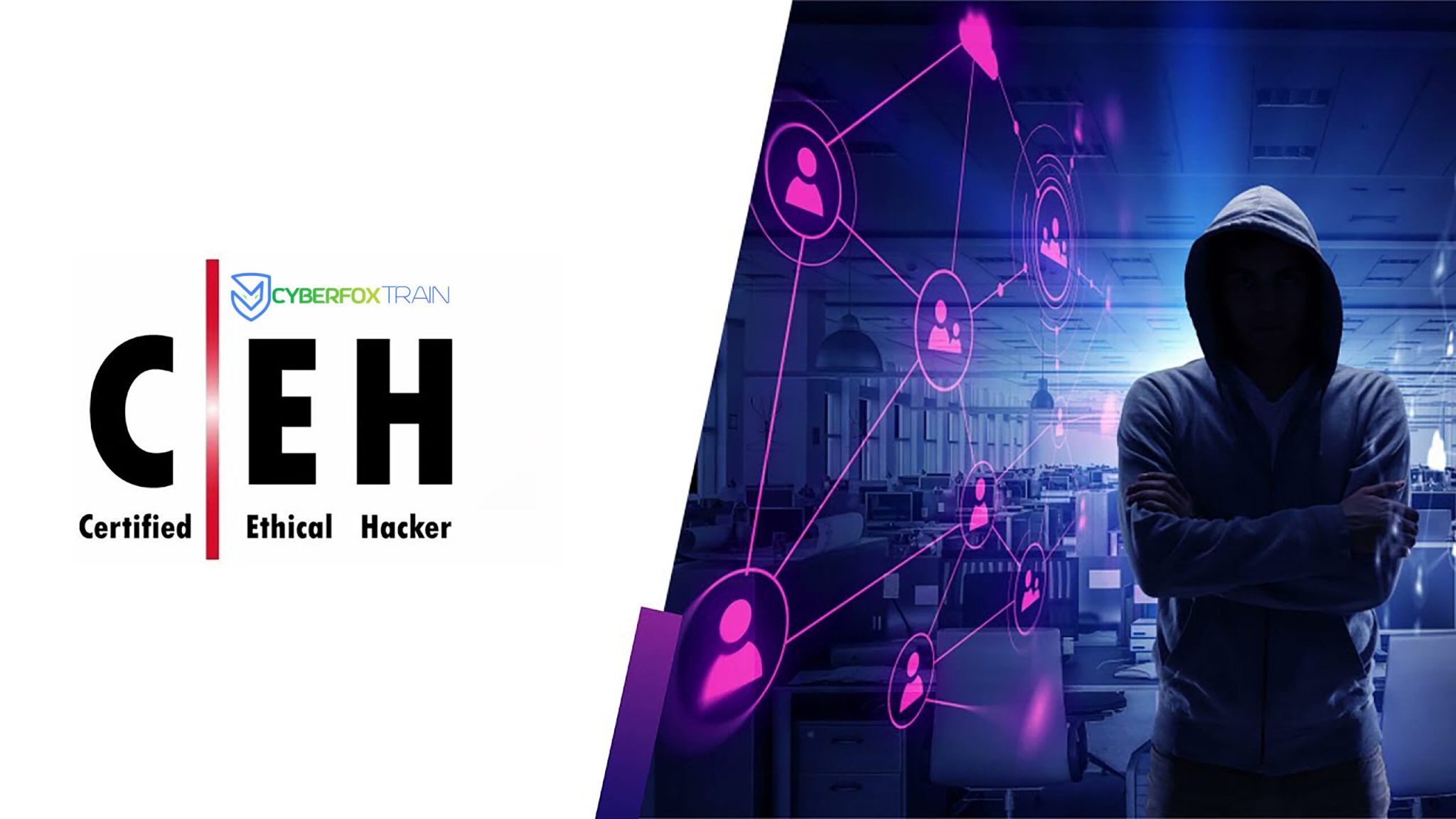 دوره CEH چیست ؟ هرآنچه باید درمورد دوره هکر قانونمند بدانید ! - تیم بلک سکوریتی